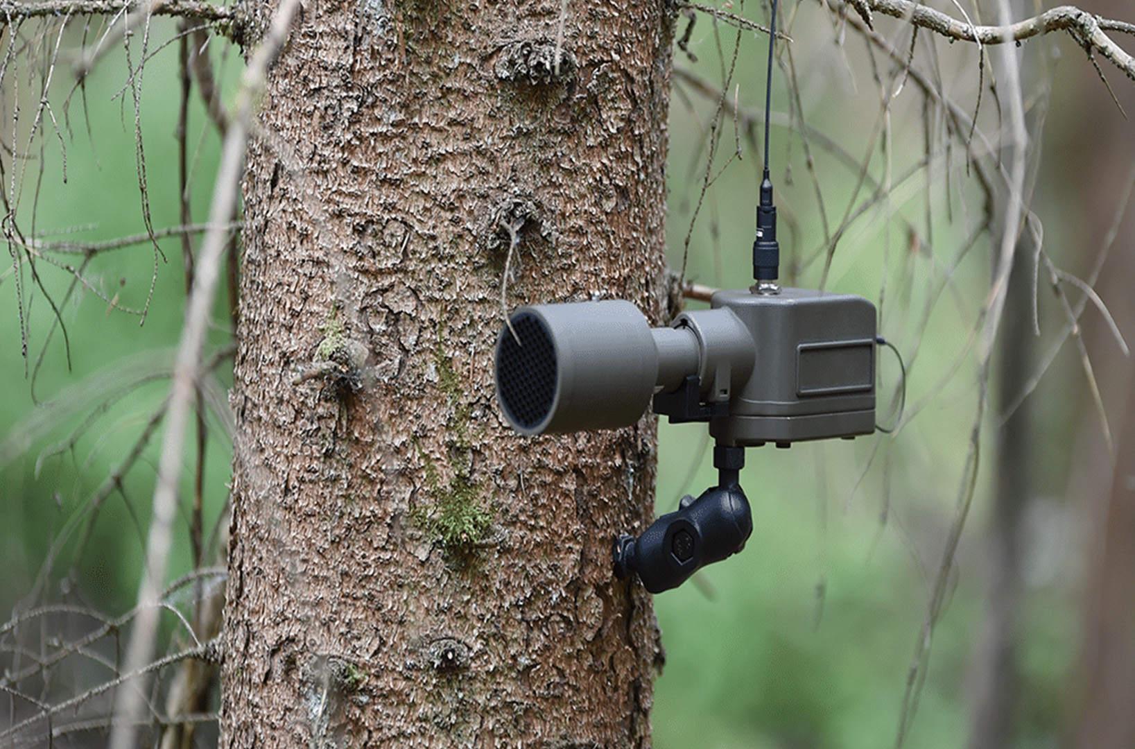 Exensor FLEXNET Unattended Ground Sensors System | EPE